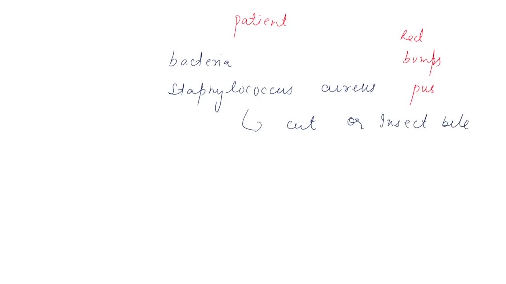SOLVED: Texts: 1- A differential diagnosis of spider bite. 2- A ... SOLVED: Texts: 1- A differential diagnosis of spider bite. 2- A ...
