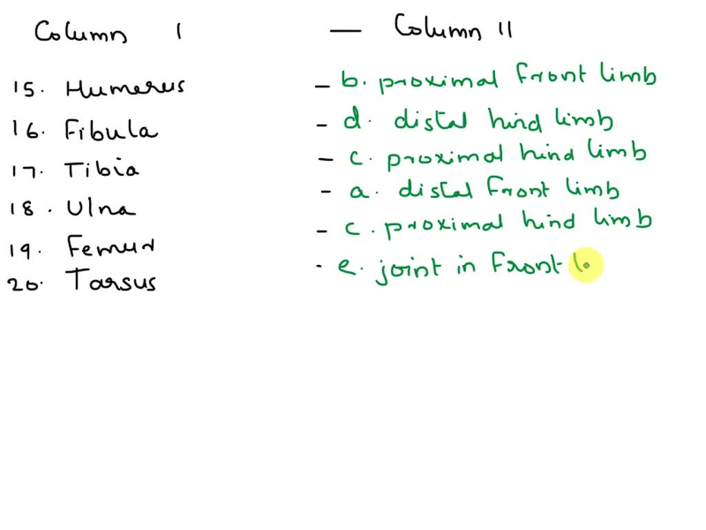 SOLVED: Pollex is to the olecranon. Medial, posterior, and proximal ...