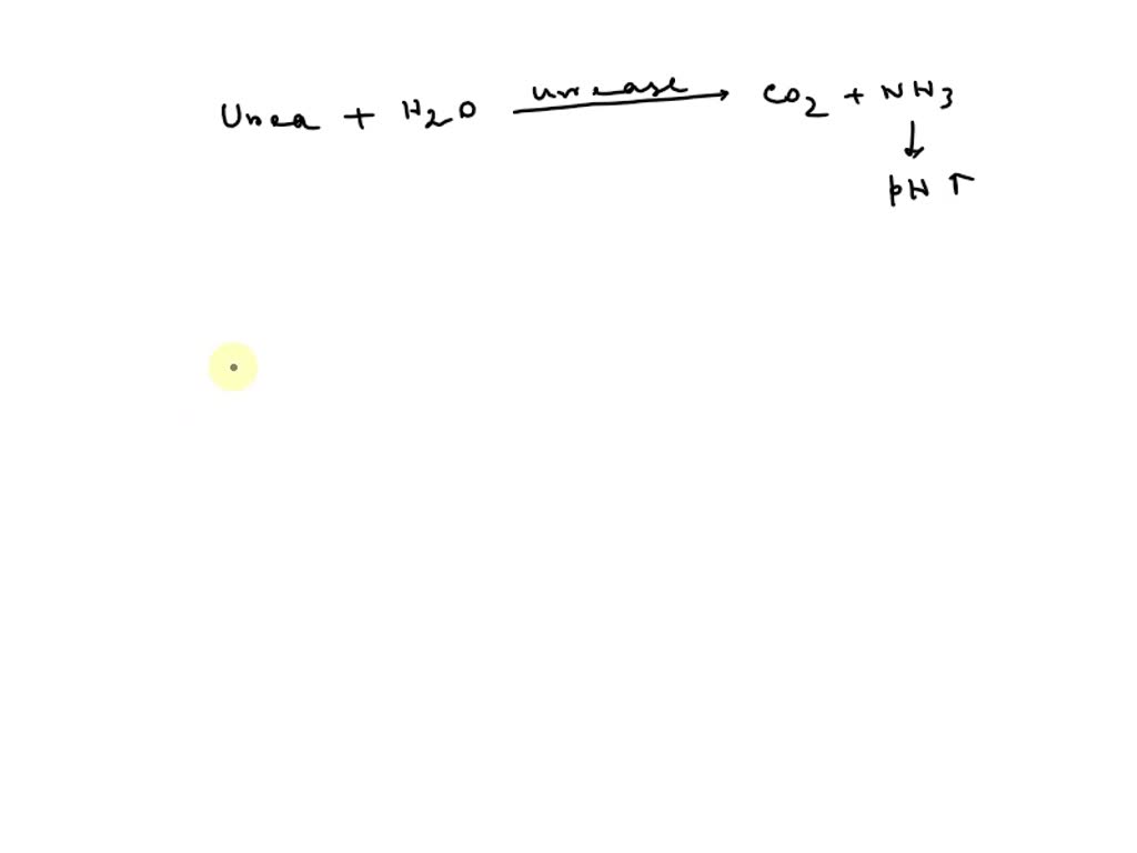 SOLVED: PART VI: IDENTIFICATION OF GRAM-POSITIVE AND GRAM-NEGATIVE ...