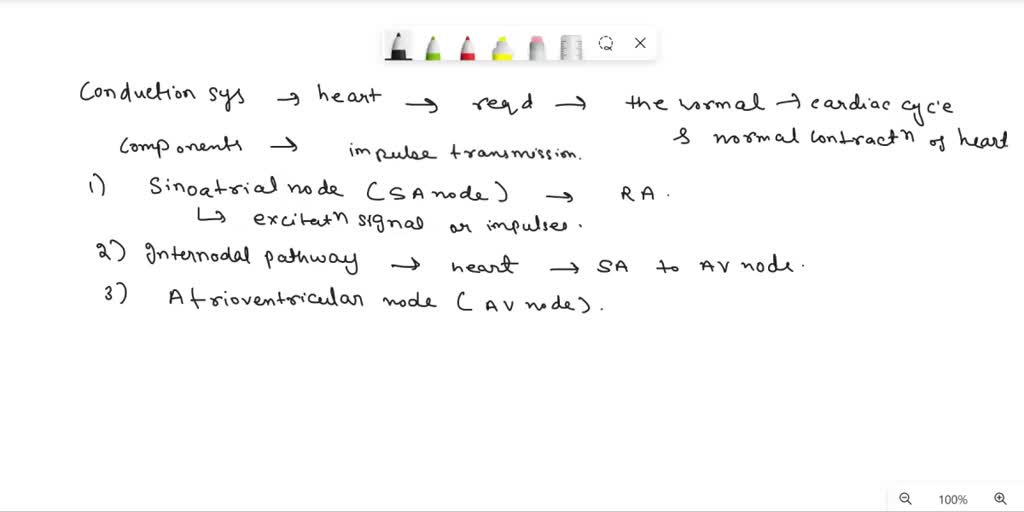 SOLVED: Put these autorhythmic cells into the correct order for ...