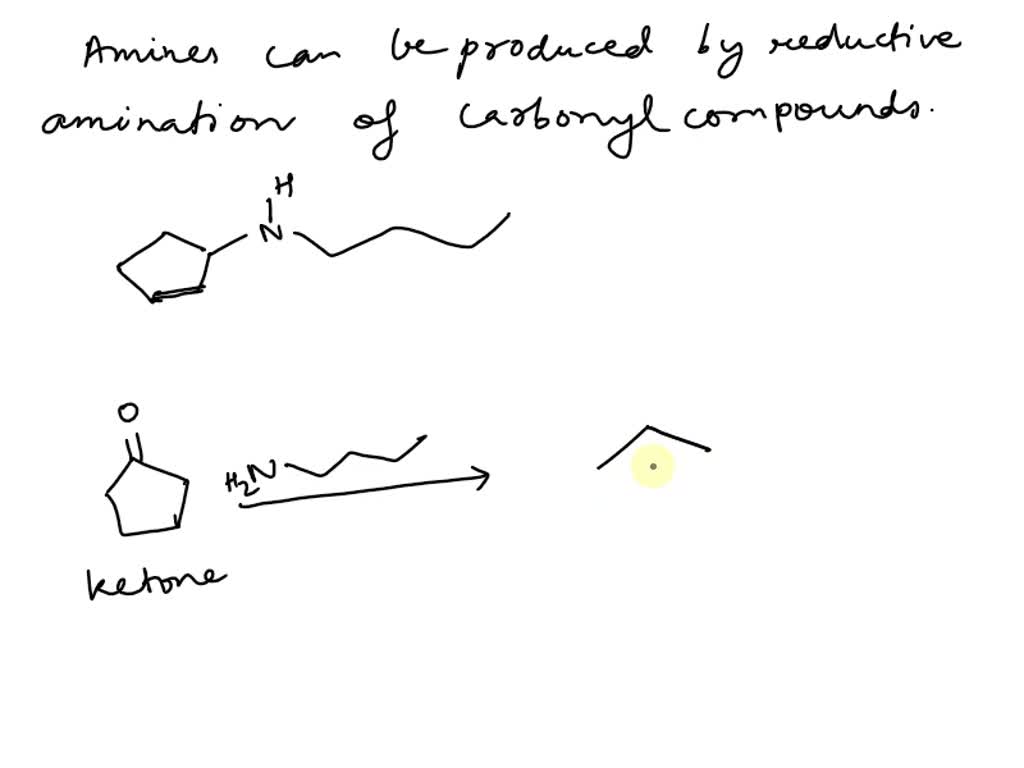 SOLVED: Amines can be produced by reductive amination of a carbonyl ...