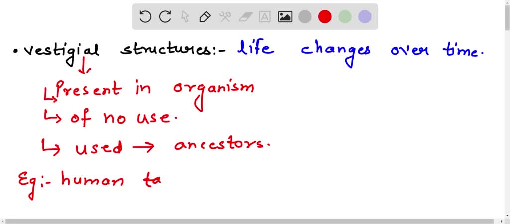 SOLVED: Question 19(1 point) Which of the following describes vestigial ...