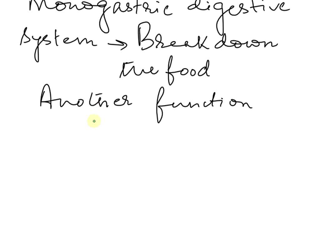 SOLVED: What is the function of the esophagus in the digestive system ...