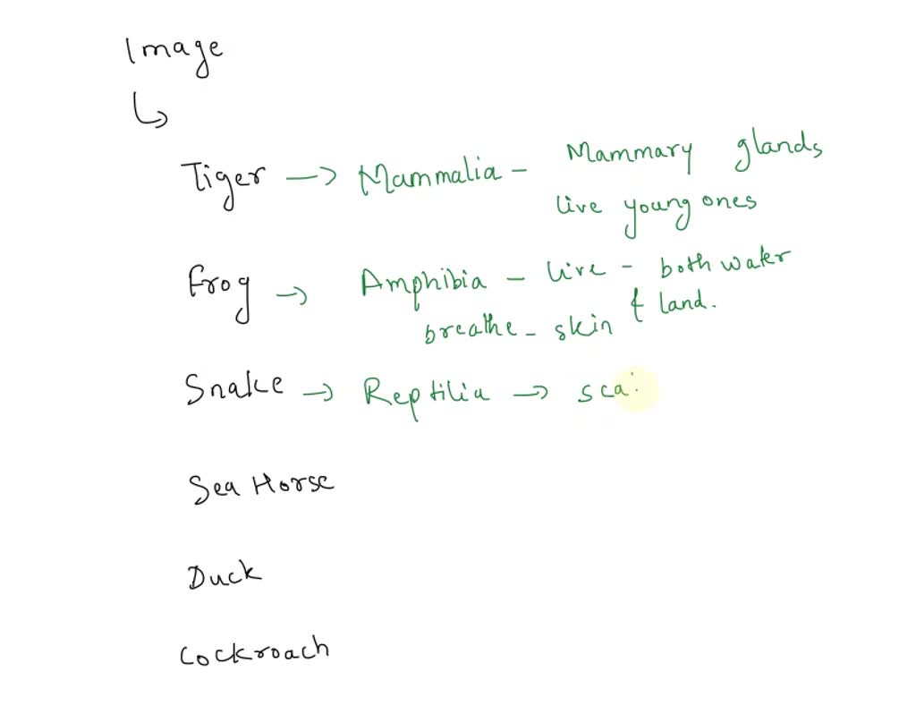 SOLVED: Animalia is the largest kingdom among the five major kingdoms ...