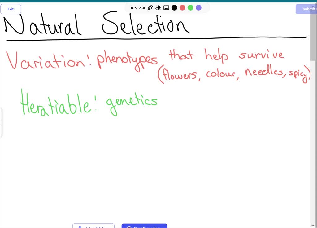 SOLVED: Text: ds Week?2011"20lntegration%20Activity"20(1) pdf This ...