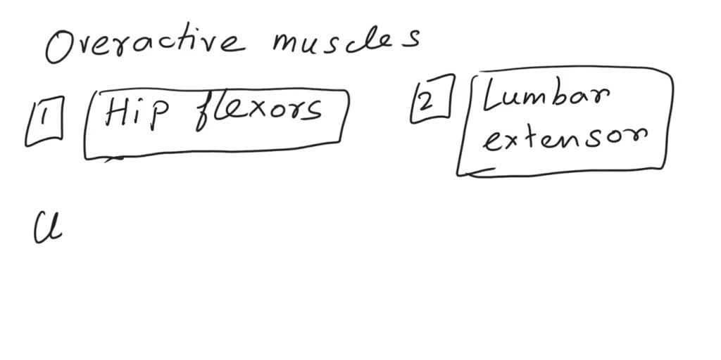 SOLVED: '3 What is lower cross syndrome? Which muscles are impacted by ...