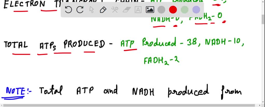 SOLVED: Text: Fill in the table below Number of ATP produced from one ...