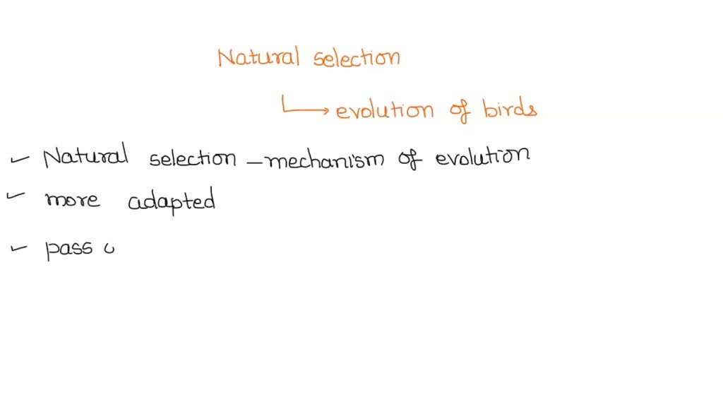 SOLVED: Is this evolutionary conservation of the pecten structure ...