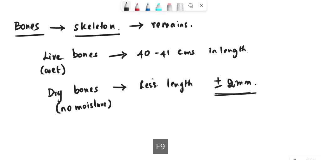 SOLVED: whats the difference (in mm) between dry bones size and fresh ...