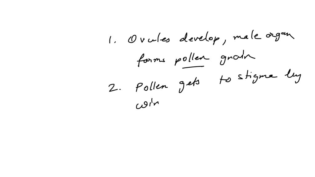 Solved Activity 4 Step By Step Directions Sequence The Life Cycle