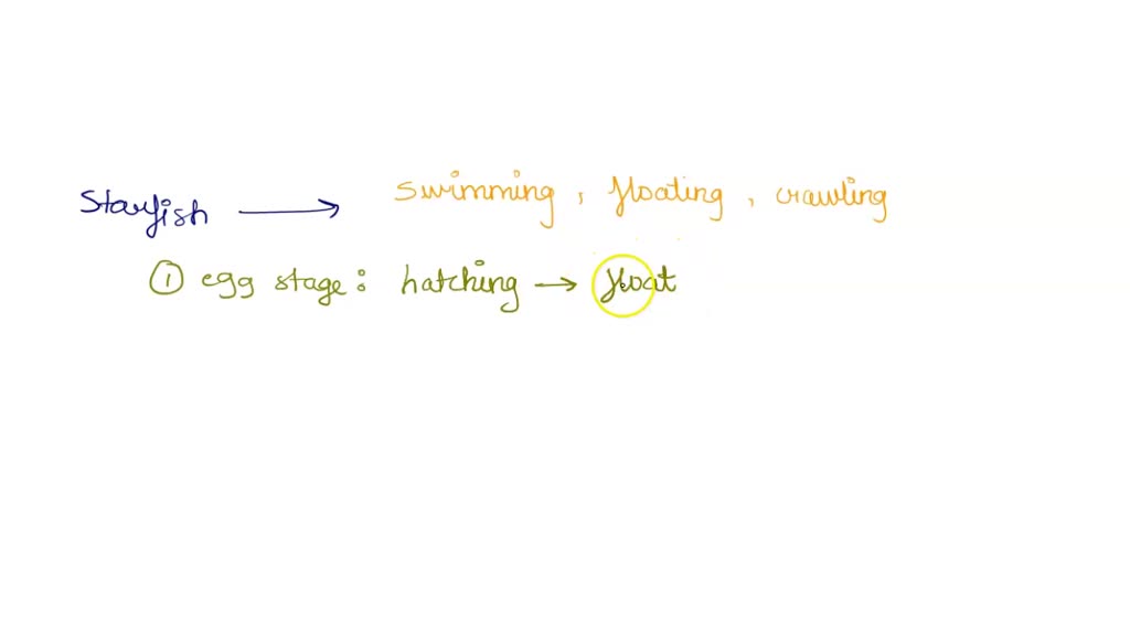 SOLVED: In the stages of development of a starfish, (Zygote, 2 cell ...