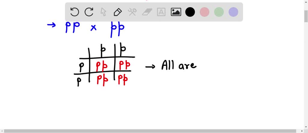 SOLVED: show Punnett Squares of the F1 and F2 generations that result ...