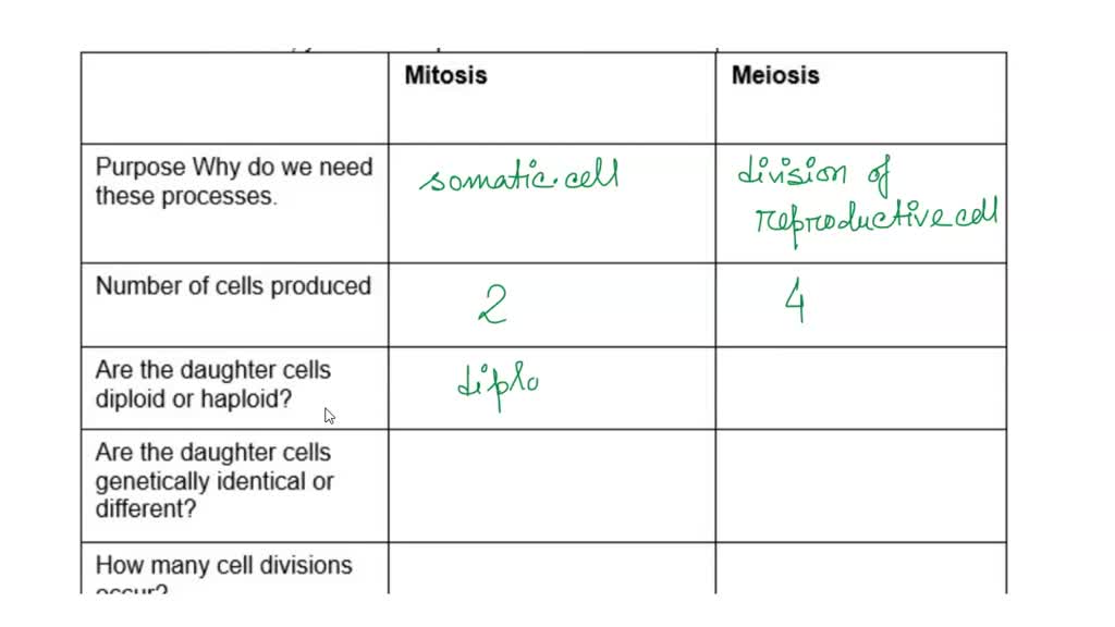 SOLVED: For this table YOU WI compare mitosis and meiosis Mitosis ...