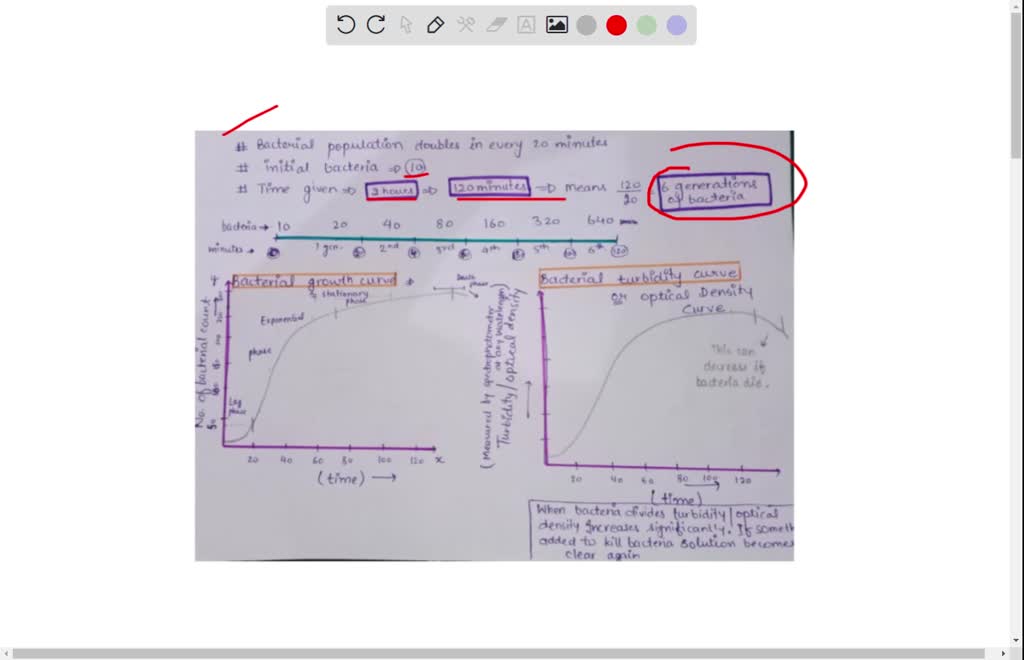 SOLVED: The mean division time for a bacterial population is 20 minutes ...