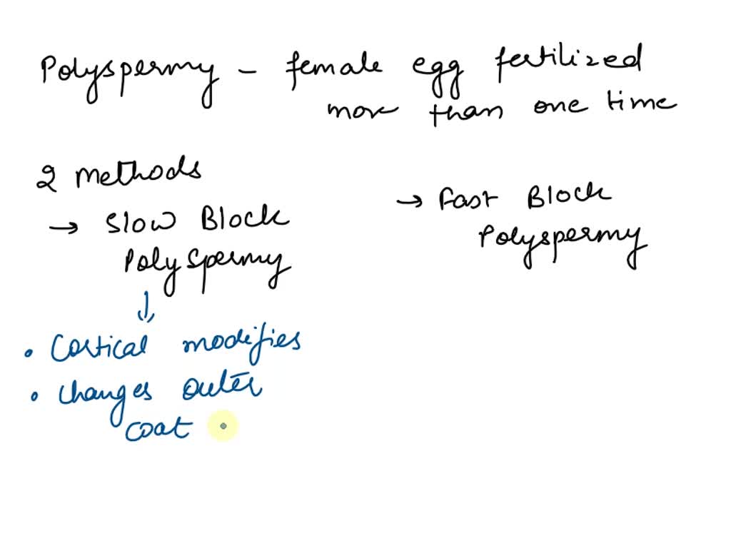 SOLVED: The slow block to polyspermy: a. is caused by a change in ...