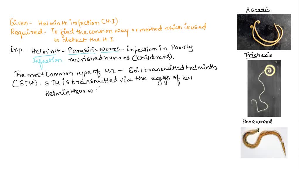 SOLVED: Helminth Identification 38 Identify this organism Schis ...