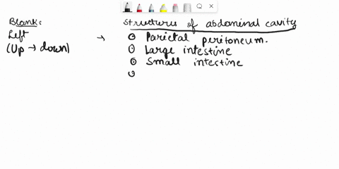 identify organs in a cadaveric transverse section through pelvis label ...