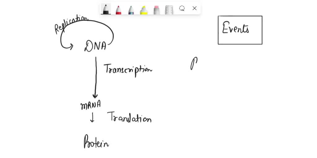 SOLVED: 1. The Central Dogma of Molecular Biology is used to describe ...