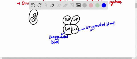 SOLVED: 2. In your own words, describe how cardiovascular and ...