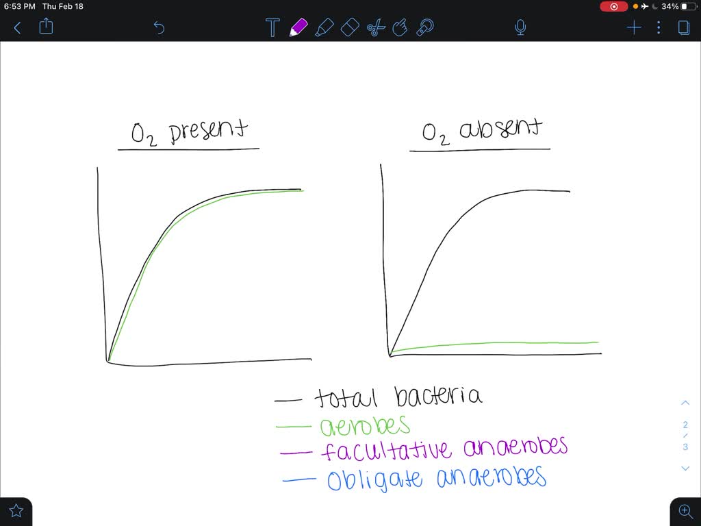 SOLVED: Which of the following shows the correct labelling of the lines ...