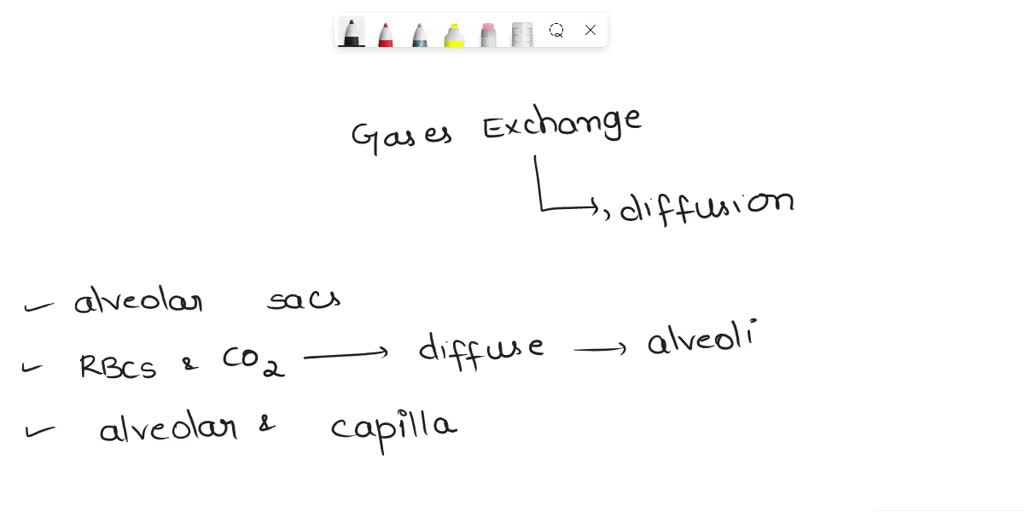 SOLVED: Does both internal and external respiration depend on diffusion ...