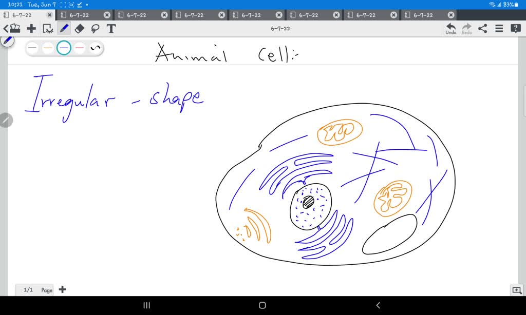 SOLVED: Draw the structure of Eukaryotic cell (Animal Cell)