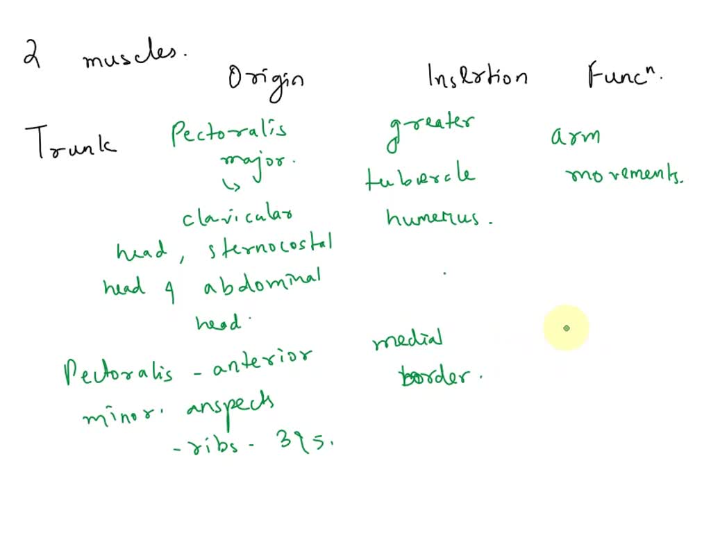SOLVED: give me the muscles and answers for these please Gluteal Region ...