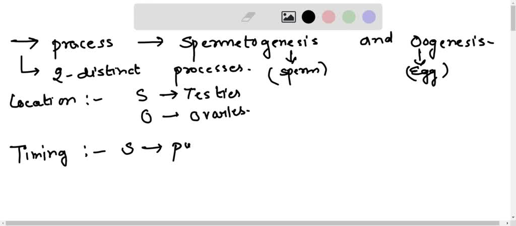 SOLVED: Texts: 1. Describe how events of oogenesis correlate with ...