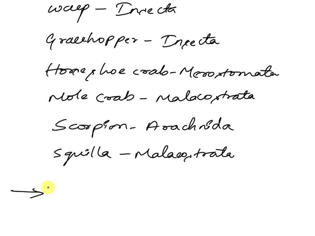 SOLVED: Texts: Your job is to classify these organisms using only these ...