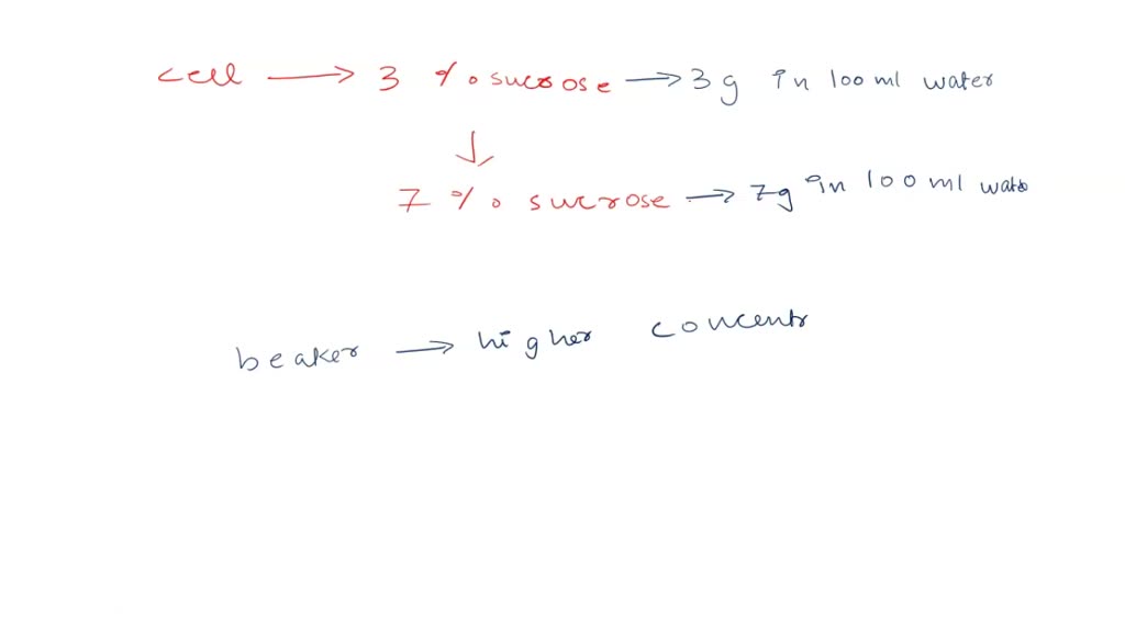 SOLVED: A cell containing a 3% sucrose solution is placed into a beaker ...