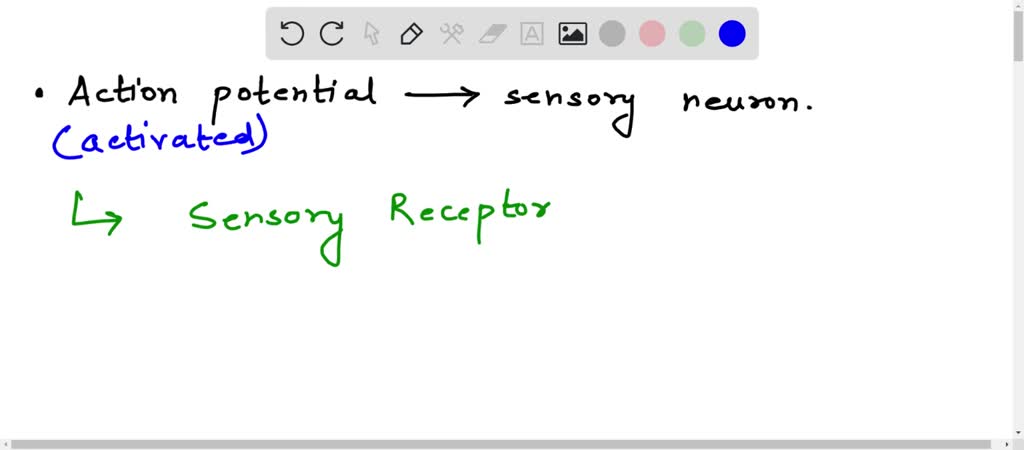SOLVED: Which of the following is a structure that is activated by a ...