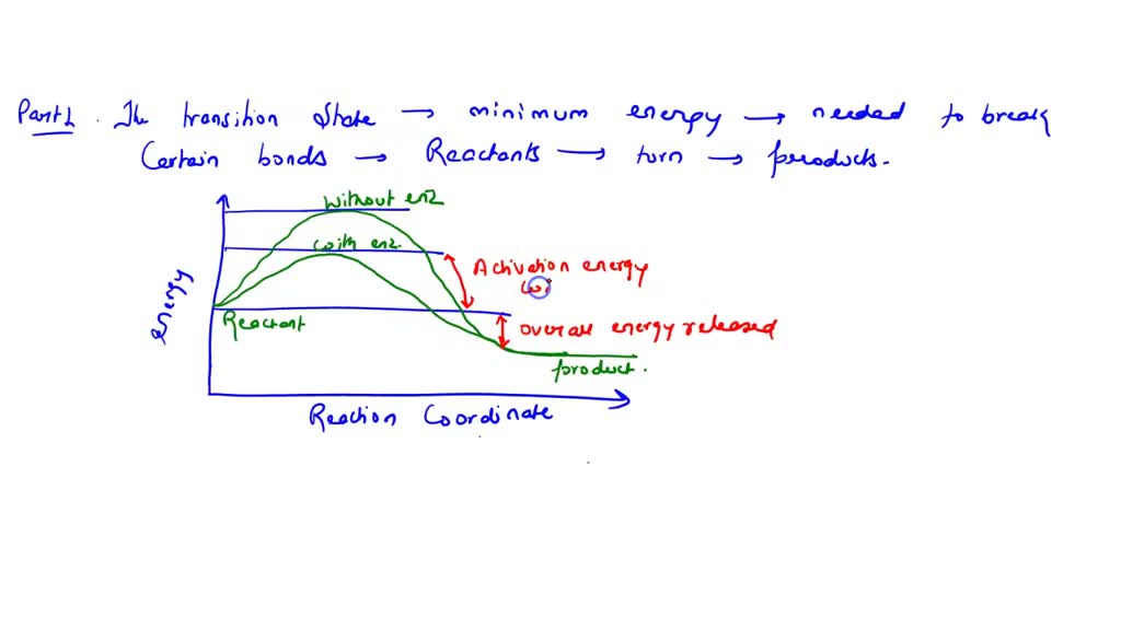 SOLVED: Draw a transition state diagram of a) an nonenzymatic reaction ...