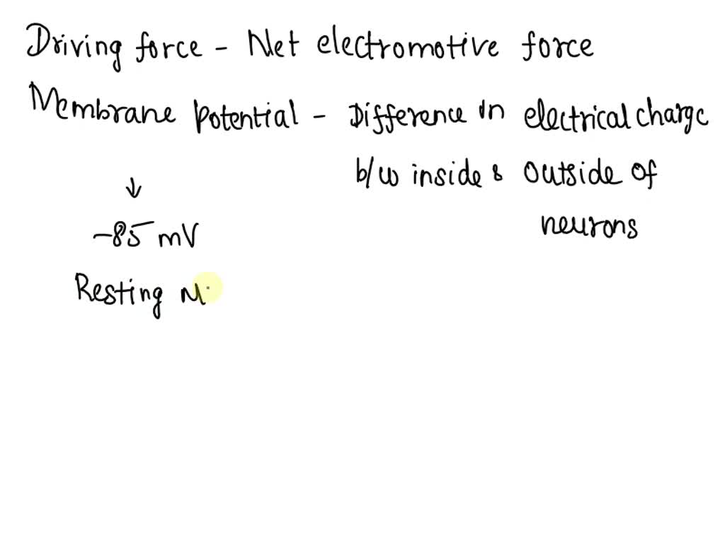 SOLVED: The net driving force is greatest for which ion when the ...