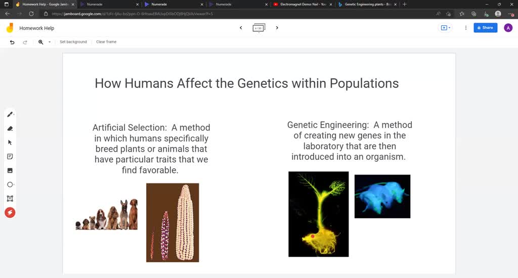 SOLVED: Which is not an accurate statement about the ways humans ...