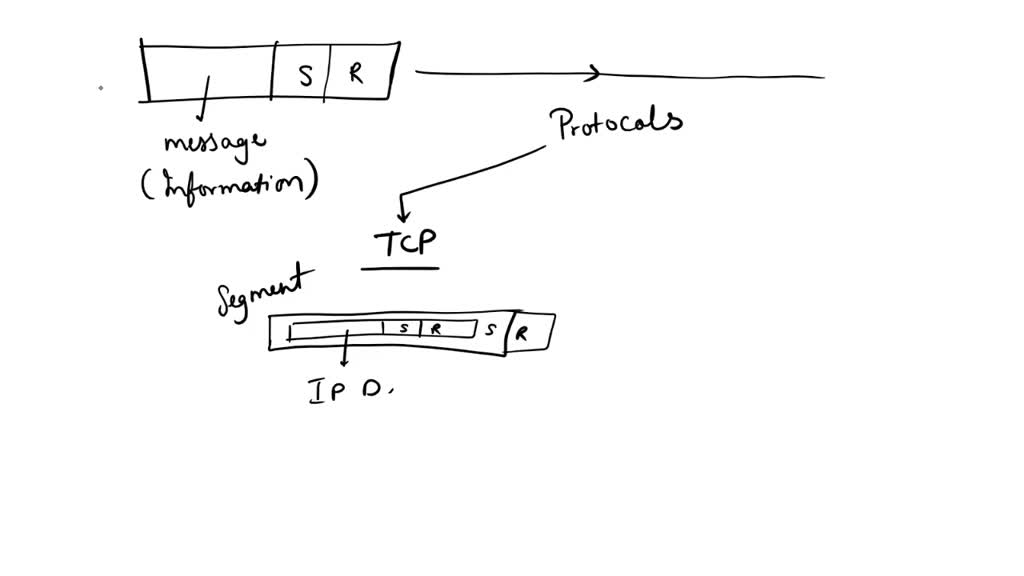 SOLVED: What information is in the data payload for the ip datagram?