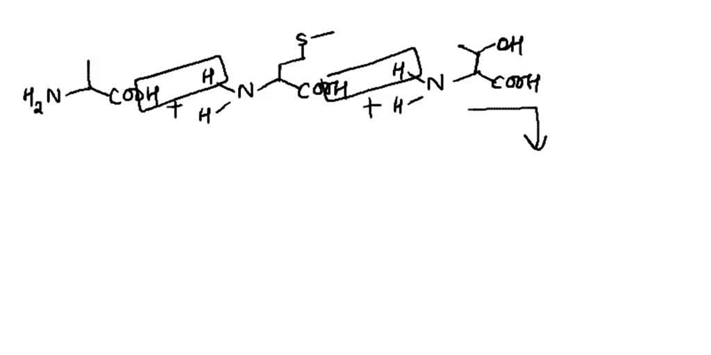 SOLVED: Text: Structures given of the amino acids alanine (Ala ...