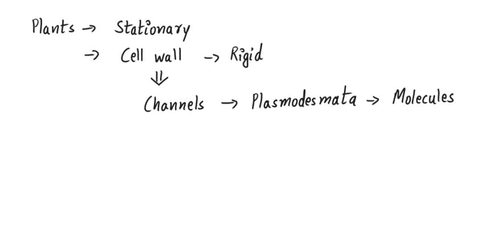 SOLVED: Most adjacent plant cells are connected by Most adjacent plant ...