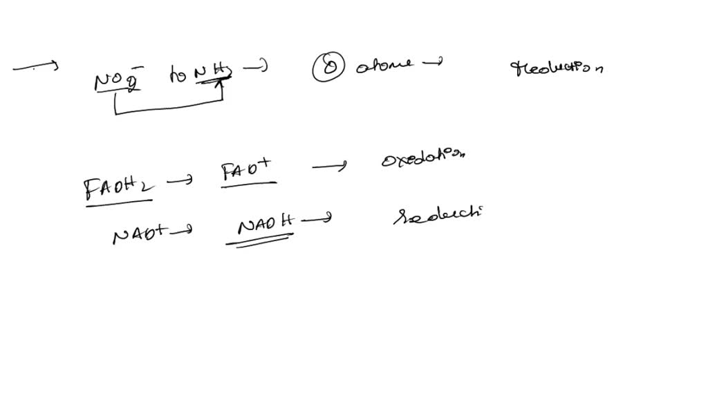 SOLVED: Texts: Determine whether each molecular transformation ... SOLVED: Texts: Determine whether each molecular transformation ...