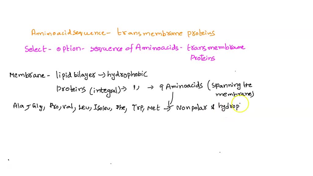 SOLVED: Given the partial sequence of a peptide Ile Leu Trp Ala Asn Arg ...
