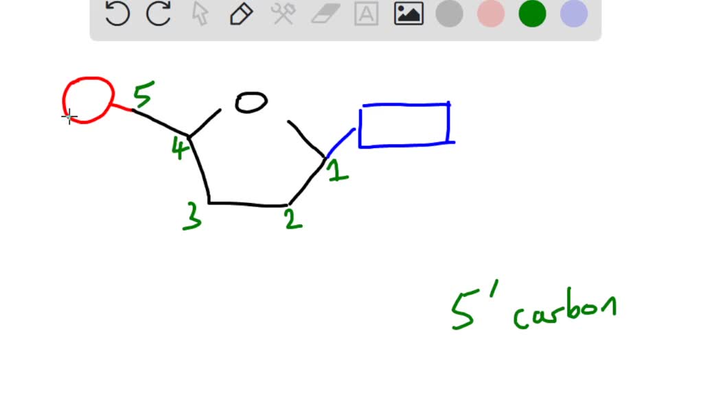 SOLVED: The nucleotide is composed of 5-carbon sugar; phosphate group ...