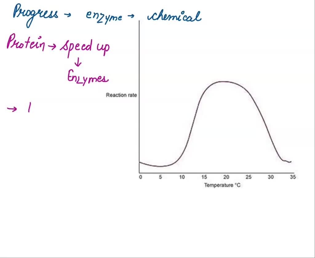 Solved The Graph Above Shows The Progress Of An Enzyme Catalyzed Chemical Reaction Based On 