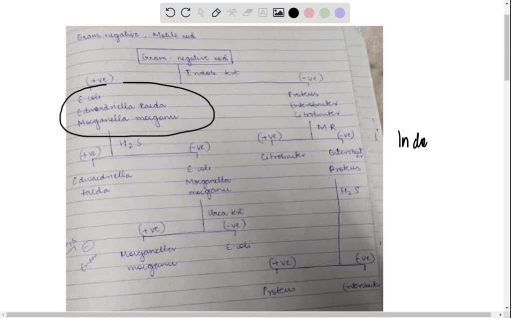SOLVED: A student Is trying to determine the identity of his/her ...