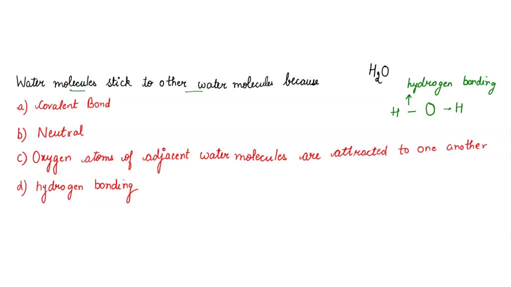 SOLVED: 'd) Suppose that two water molecules are close to one another ...