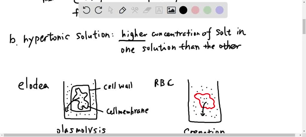 SOLVED: 'Based on your previous work, reproduce the table below and draw an illustration of a ...