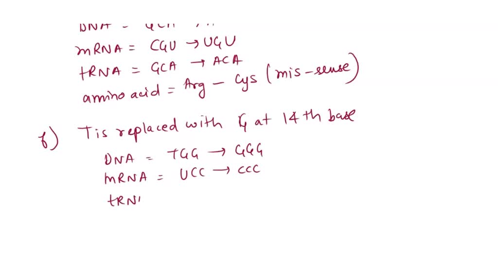 SOLVED: There is a DNA strand: 3' TAC-AGC-ACT-CAG-TCA 5' a. What about ...