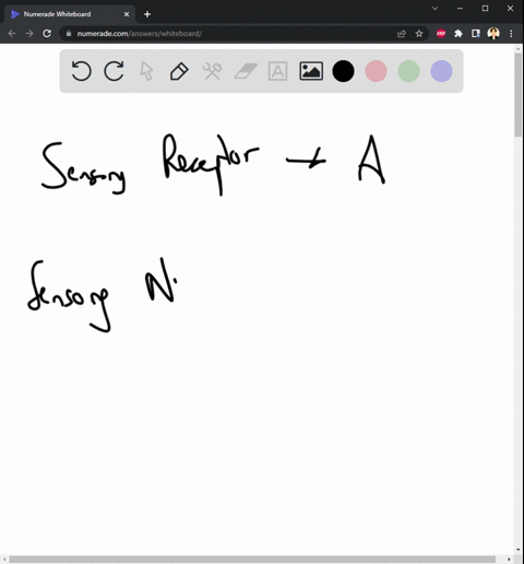 SOLVED: 'Which of the following lists the components of reflex arc in the order in which nerve ...