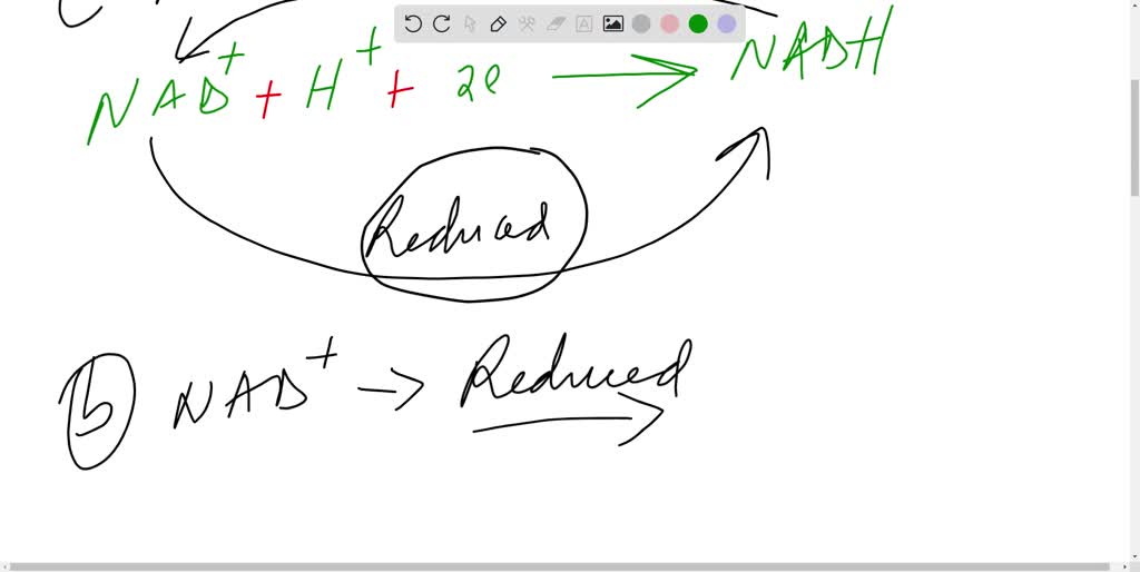 SOLVED: The following characteristics DOES NOT apply to NAD+/NADH: NAD+ ...