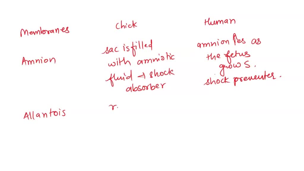 SOLVED: Membranes in Chick and Human: Comparison of Extraembryonic ...