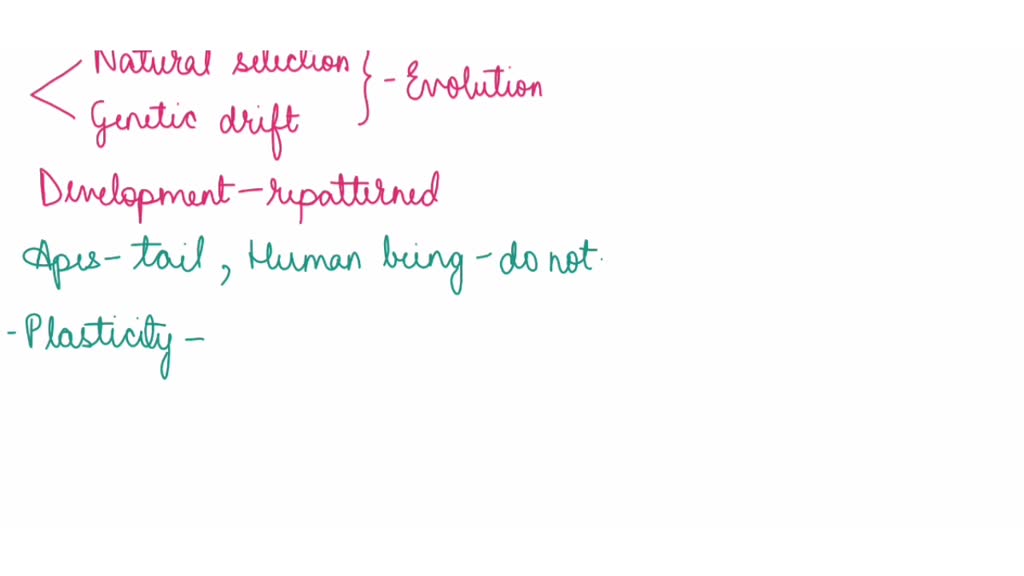 Solved Provide An Example Of How Increasing Modularity Of Either Genes Development Or