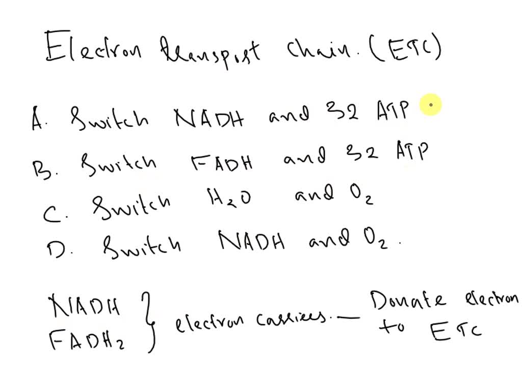 SOLVED: Which change will correct this model of the electron transport ...